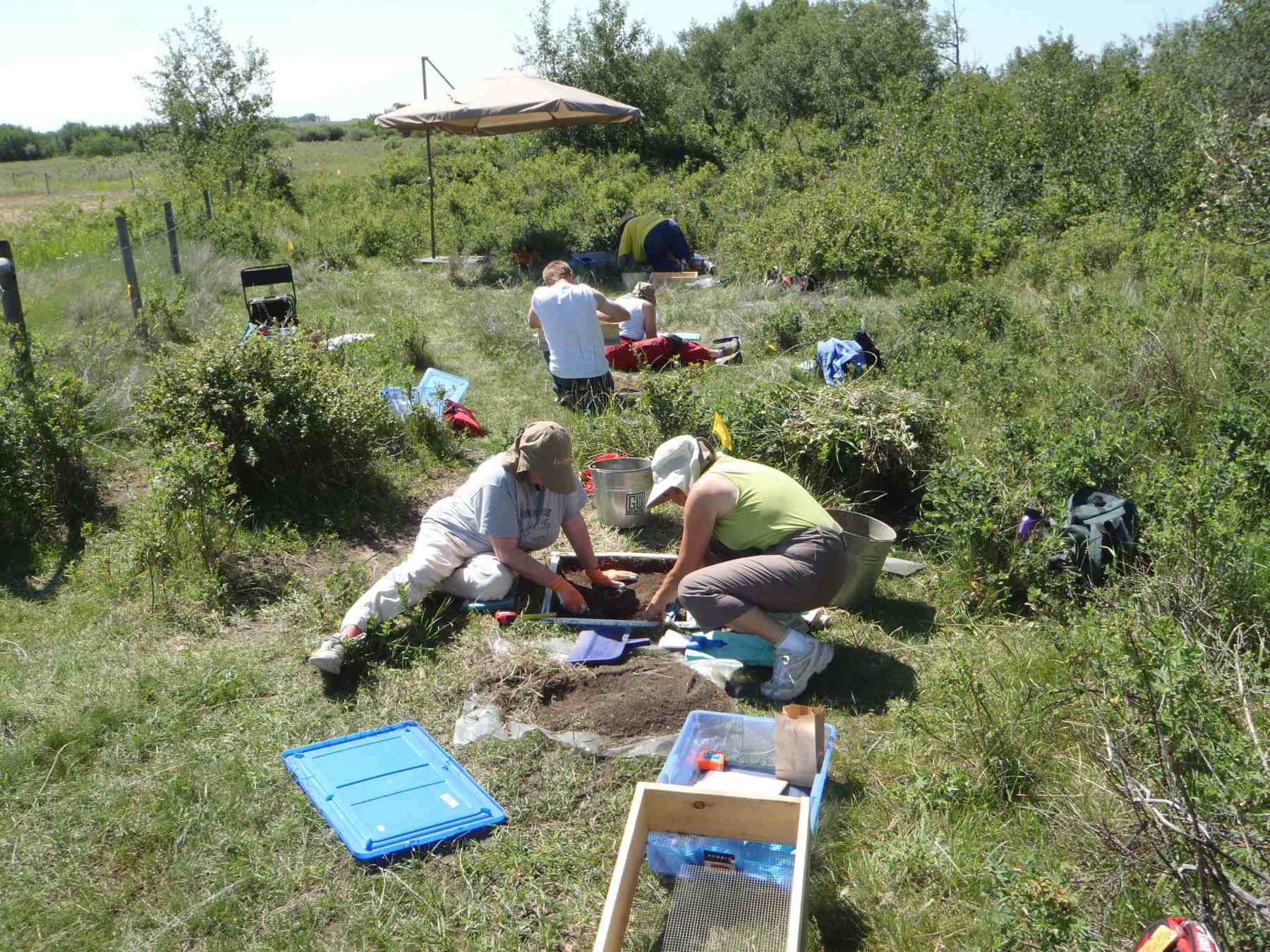 Adult Archaeology Dig Camp – Bodo Archaeological Site & Centre